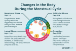 Why IBD Hits Women Harder Than Men – Trust Your Gut (But I Can't!)